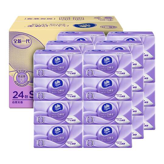 Vida Pumping Paper - 24 Packs of Embossed Toilet Paper Napkins