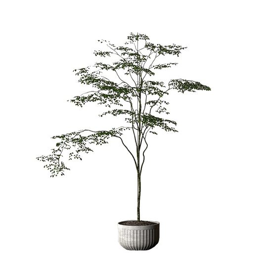 Simulation Green Plant - Banyan Tree Potted Plant for Indoor Landscaping