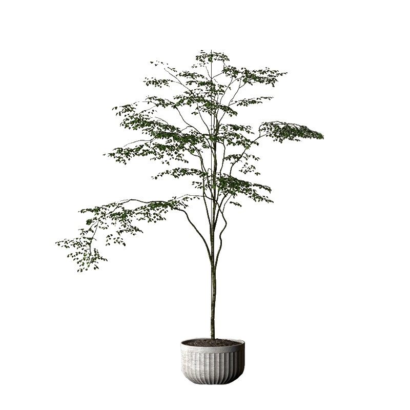 Simulation Green Plant - Banyan Tree Potted Plant for Indoor Landscaping