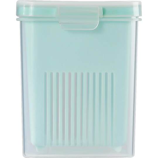 Green Onion Storage Box - Transparent Sealed Container for Refrigerator
