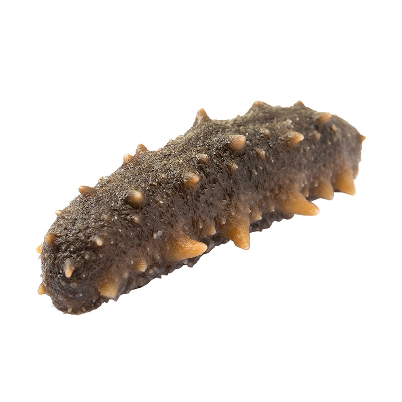 Yishe Ready-to-Eat Sea Cucumber 500g - Weihai Sting Ginseng