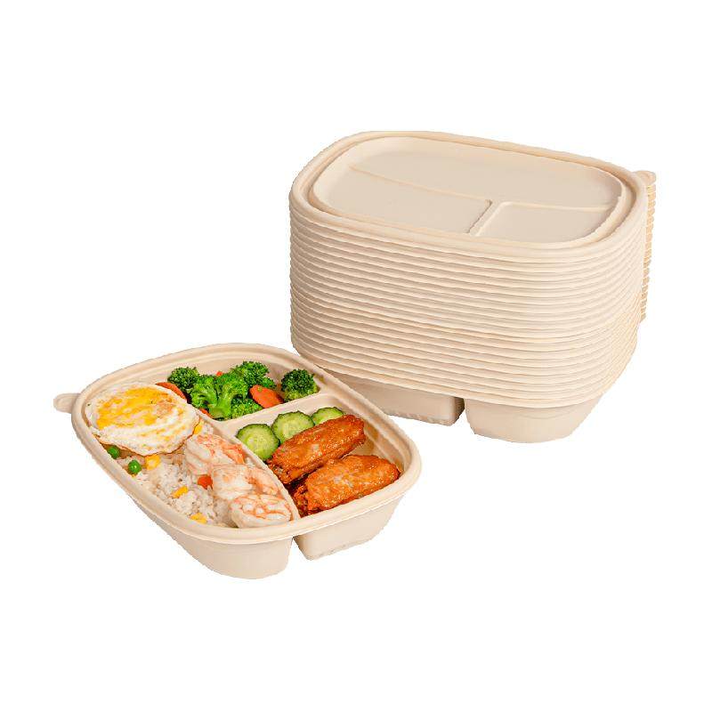 Boîte à lunch jetable yunlei - 10 boîtes dégradables à trois ...