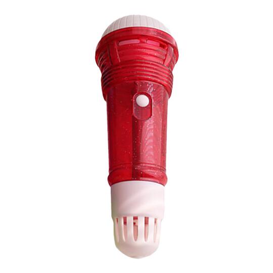 Echo Microphone - Wireless Karaoke Mic for Kids - Singing & Speech Training