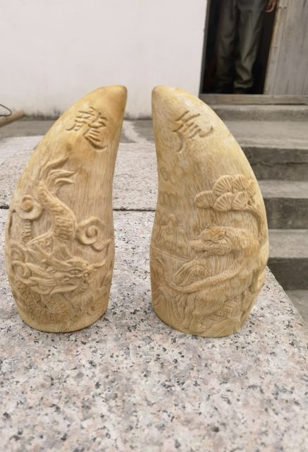 Natural bamboo root hexagram Handmade Condor Dragon Tiger Holy Gua Holy ...