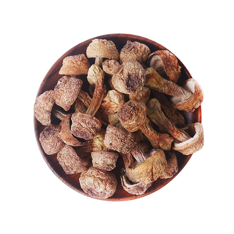 Champignons Matsutake du Yunnan - Agaricus séchés - 500g