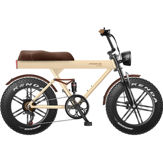 Phoenix 20-Inch Snow Electric Vehicle with Lithium Battery