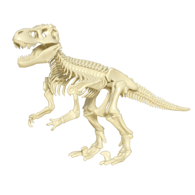 Dinosaur Fossil DIY Excavation Kit - Handmade Archaeological Excavation ...