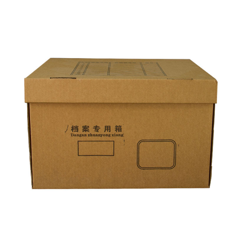 Sanisy A4 File Storage Box - Large Capacity Kraft Paper