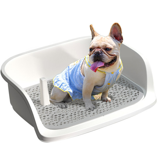 Special Toilet for Pet Dogs | Medium-Sized Small Dog Urinal | Fixed ...