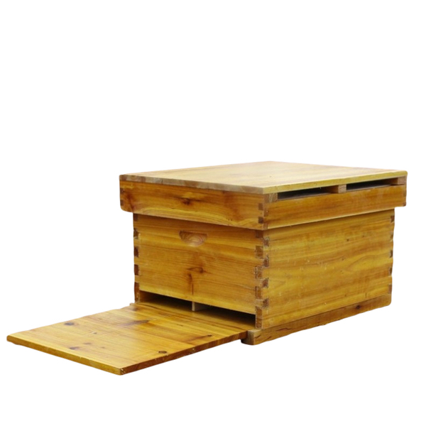 Live bottom ten frame activity beehive bee hive complete set of plates ...