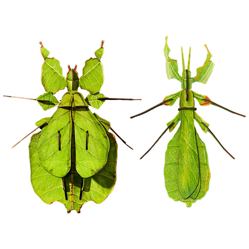 Museum of Culture and Creation Museum x Mengbag's First Original Steam ...