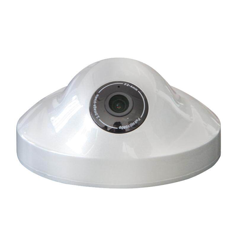 Haida Human Body Sensor Probe for Access Control and Automatic Image ...