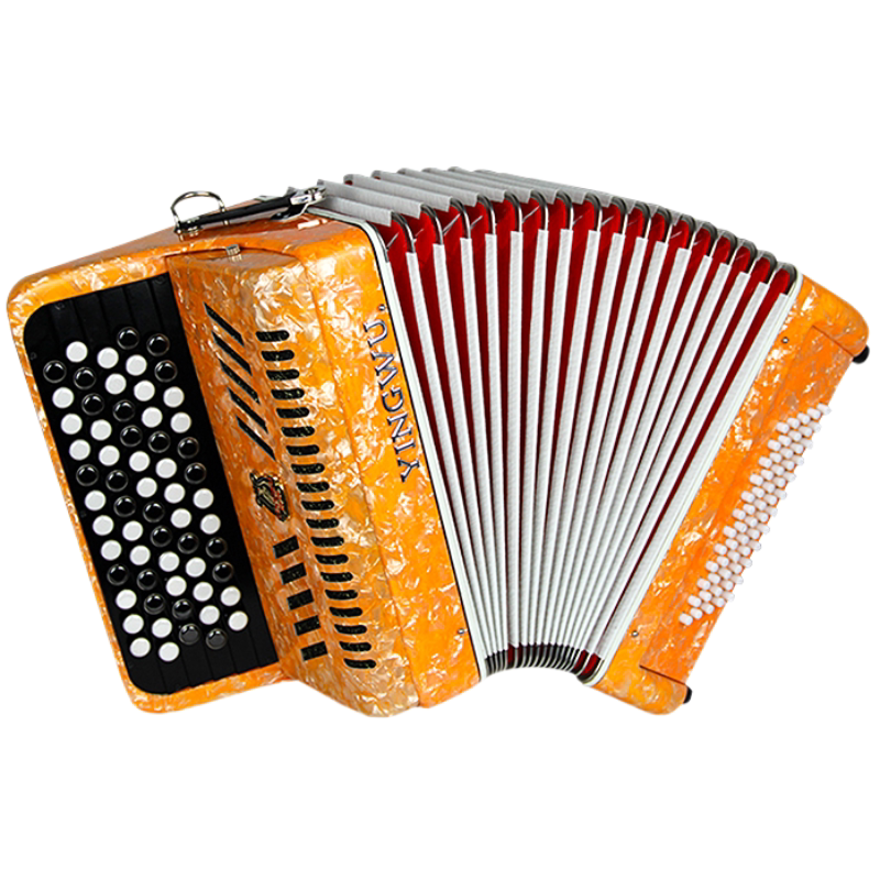 Accordéon Parrot Bayang 96 Basses - Instrument Professionnel & Débutant