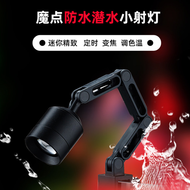 Magic point mini fish tank spotlight South American native stream tank ...