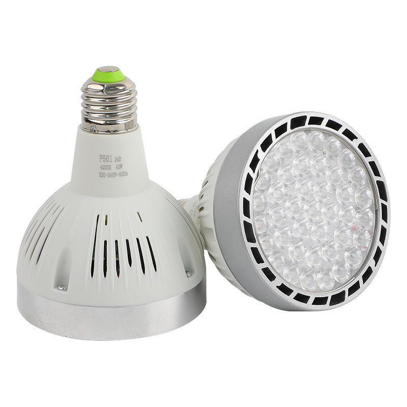Pins P30 LED Track Spotlight - PAR30 Bulb - 31-50W