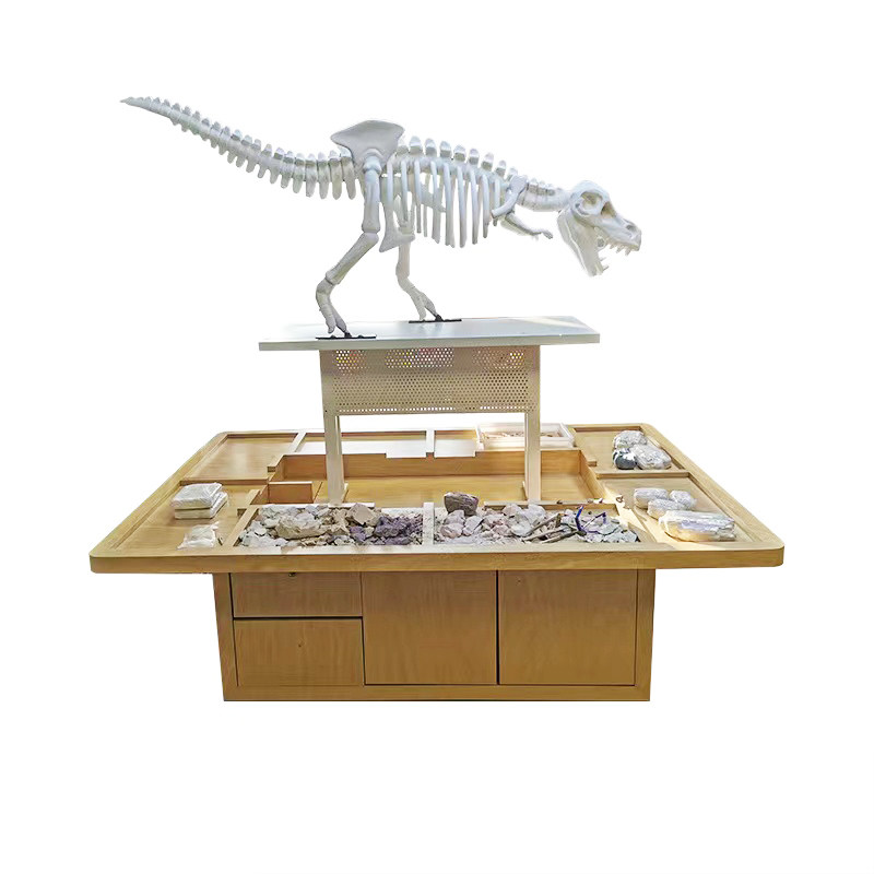 Dinosaur Archaeology Digging Table - Solid Wood Educational Toy