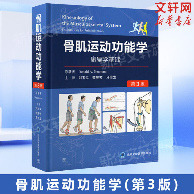 Musculoskeletal Kinesiology Basics of Rehabilitation 3rd Edition Human ...