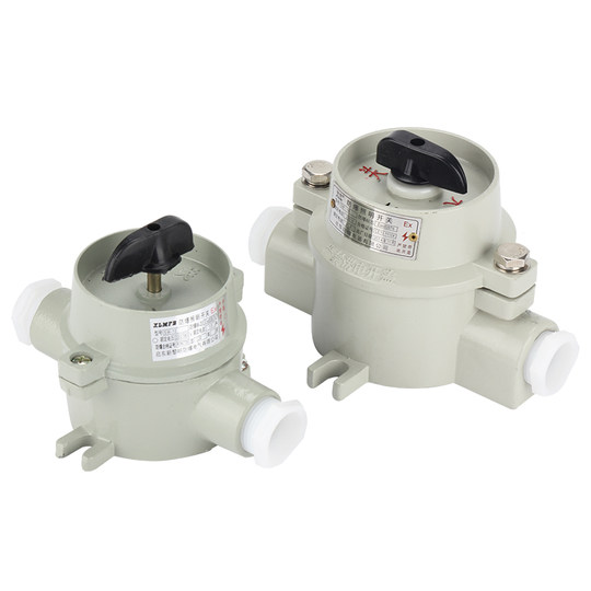 Explosion-Proof Switch for Lighting with Wall Mounting Option