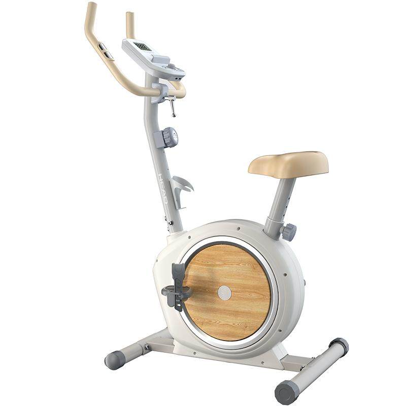 Head Hyde Dynamic Bicycle Exercise Bike: Small Indoor Gym Equipment
