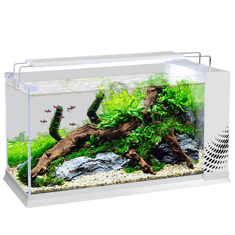 New Side Filter Fish Tank - Living Room Goldfish Tank Self-Circulating ...