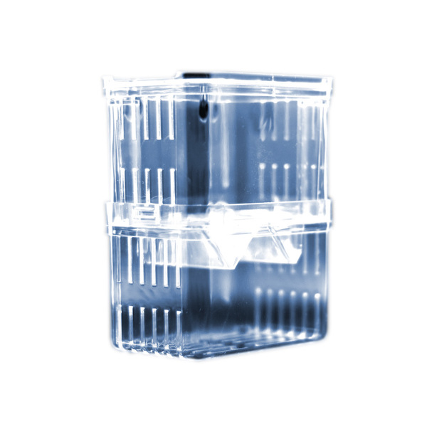 Guppy breeding box fish tank isolation large incubator | Welcome fish ...