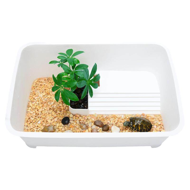 Turtle Basin with Terrace - Brazilian Turtle Breeding Tank