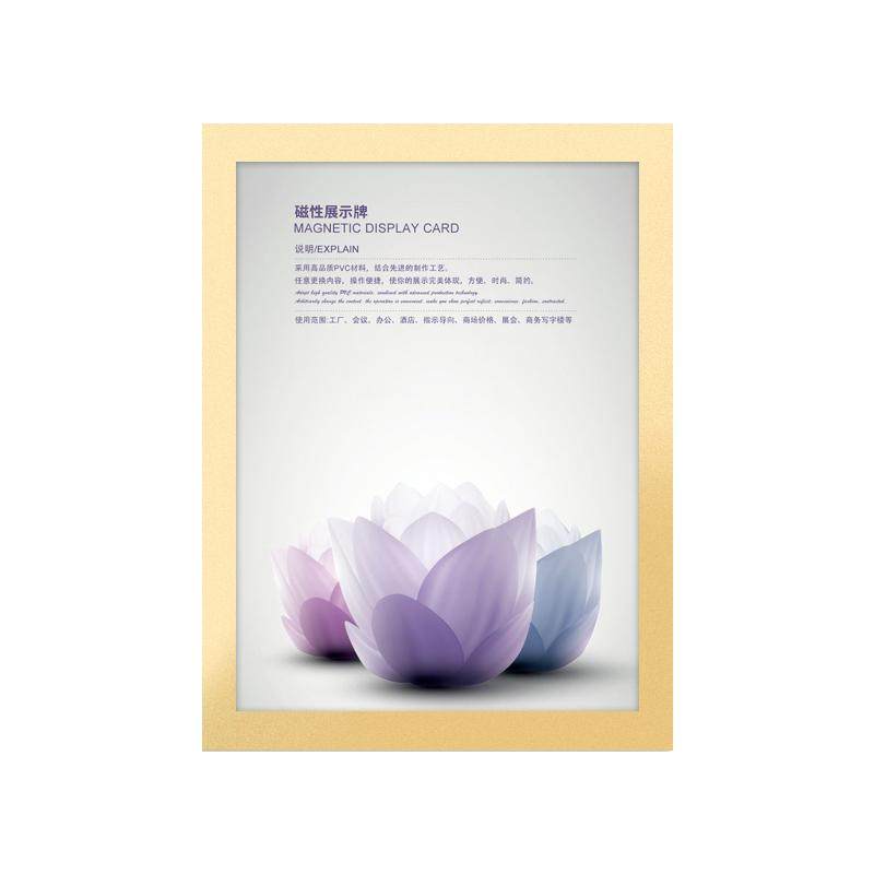 Tarsier Magnetic A3/A4 Display Sticker - Photo/Poster Frame