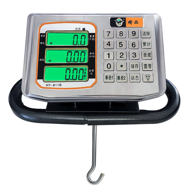 Dahongying Machine-Modified Electronic Scale Instrument 500kg Scale ...
