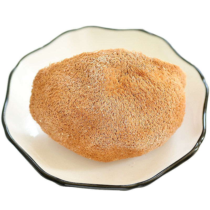 Steak Jamur Hericium Zentai King 250g - Lembut & Bergizi