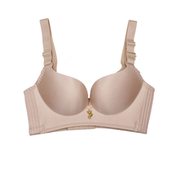 Golden Fox Underwear Official Store Small Breast Push-up Wireless Bra ...