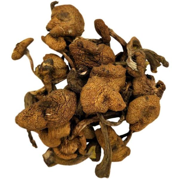 Wild hazel mushroom slices 500g northeast high-quality delicious dry ...