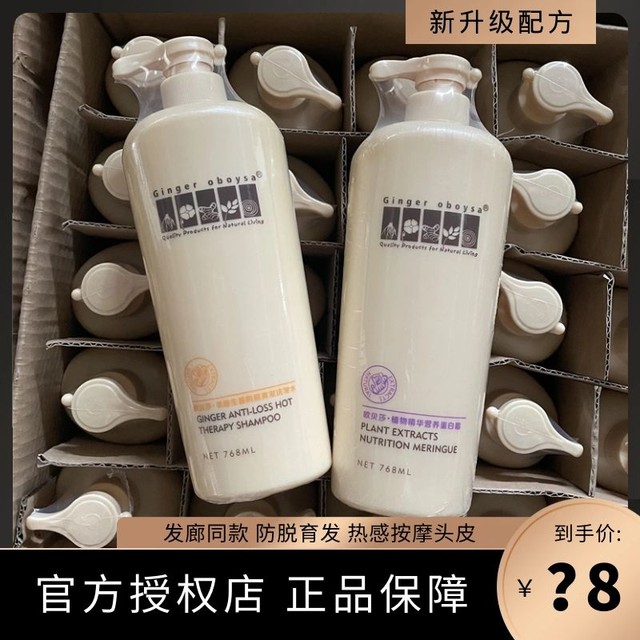 Obesafoti Ginger Anti-hair Loss Shampoo Tea Tree Essential Oil Cool ...