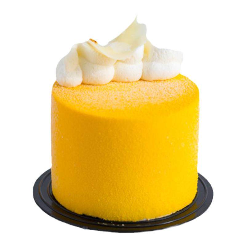 Baker French Mousse Cake Mold - Silicone Baking Mold