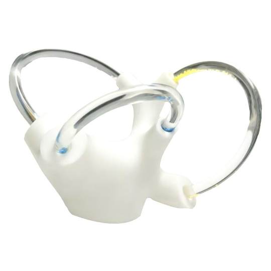 Semicircular Canal Otolith Dynamic Model | Human Anatomy Teaching Aid ...