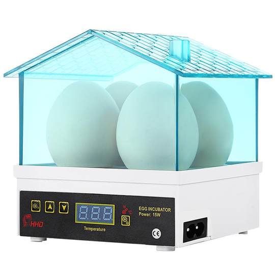 Mini Incubator for Chicken, Duck, Turtle, Bird Eggs - Automatic ...