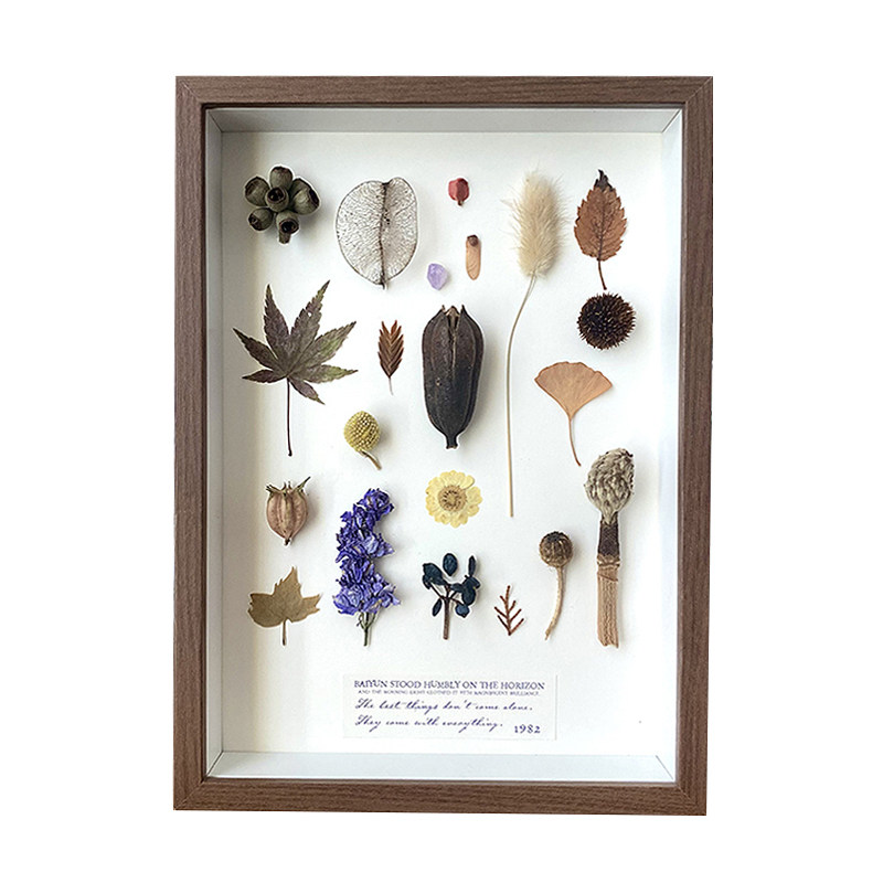 Hemu Butterfly Dried Flower Wall Art - Retro Plant Collage Picture Frame