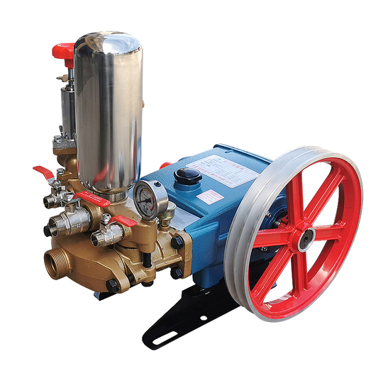 Sea kd HS 380 Electric Plunger Pump - High Pressure Sprayer for ...
