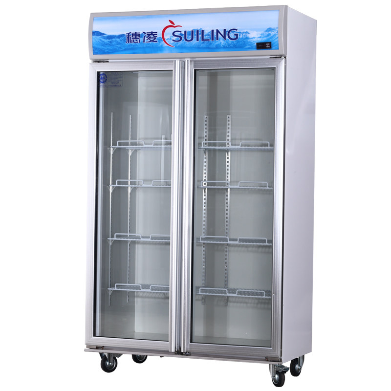 Sui Ling Vertikalni zamrzivač s izložbom - 1380L komercijalni hladnjak