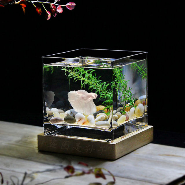 Douyu tank square glass fish tank square cylinder hydroponic utensil ...