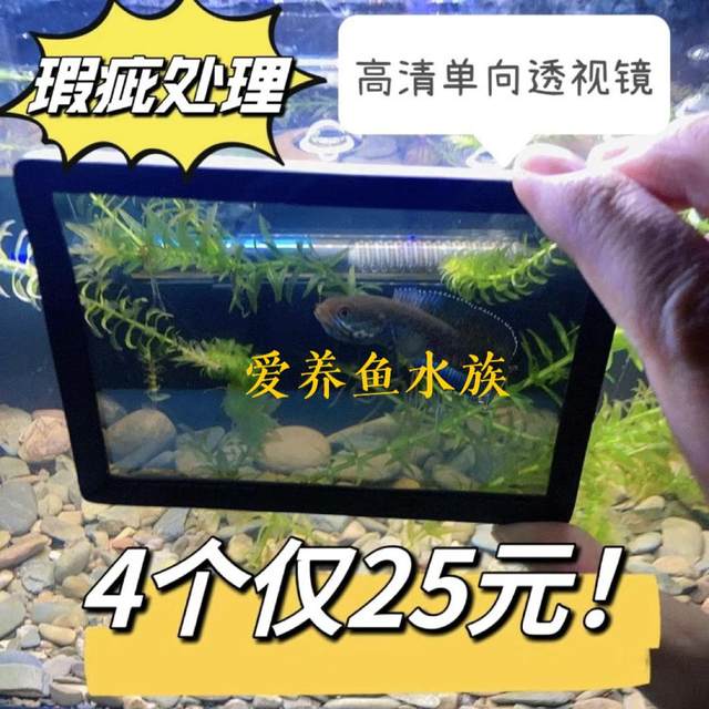 Thunder dragon fish training mirror funny fish glass one-way ...