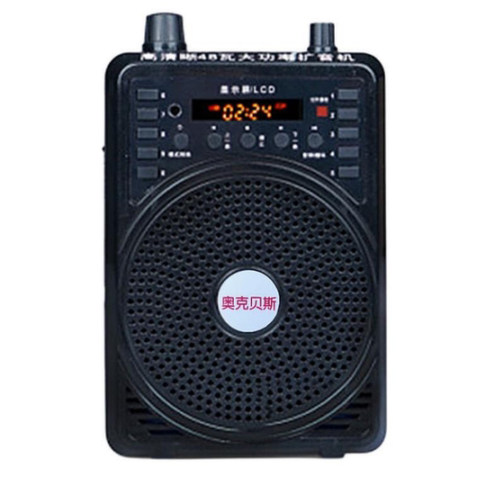 Wireless Bluetooth Portable Speaker for Musical Instruments