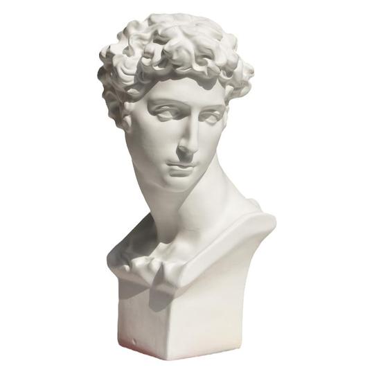 David Plaster Head Sculpture - Art Teaching Aid