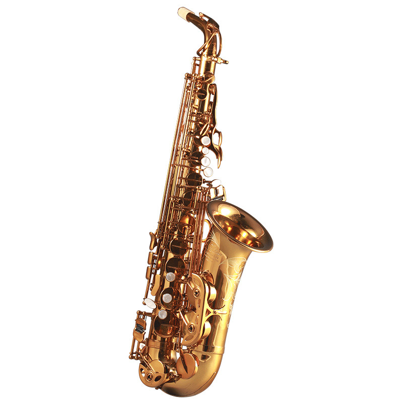 French Rollins Saxophone for Beginners to Play Professional E-Flat Alto ...