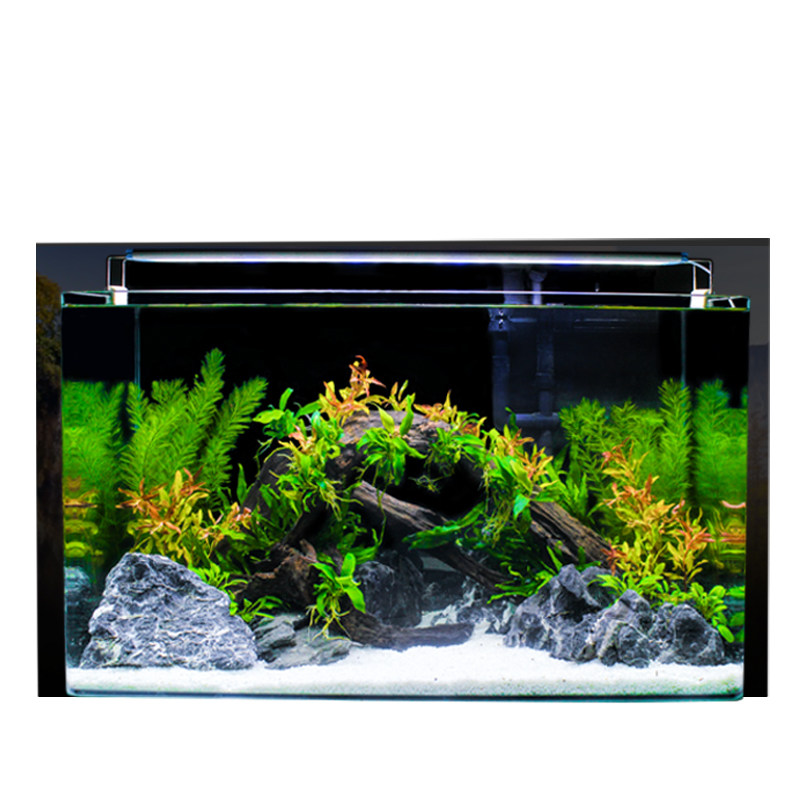 Real Water Grass Fish Tank Kit | Aquarium Ecological Grass Tank
