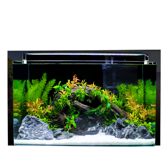 Real Water Grass Fish Tank Kit | Aquarium Ecological Grass Tank