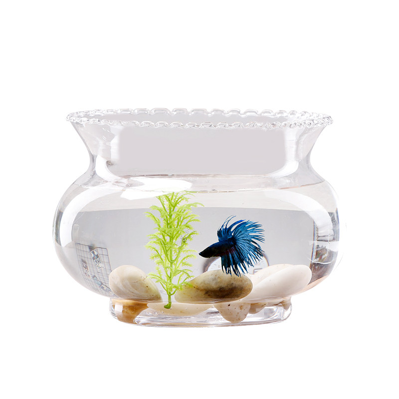 Аквариум Bilan Lace Fish Tank - Малък настолен стъклен златен рибок