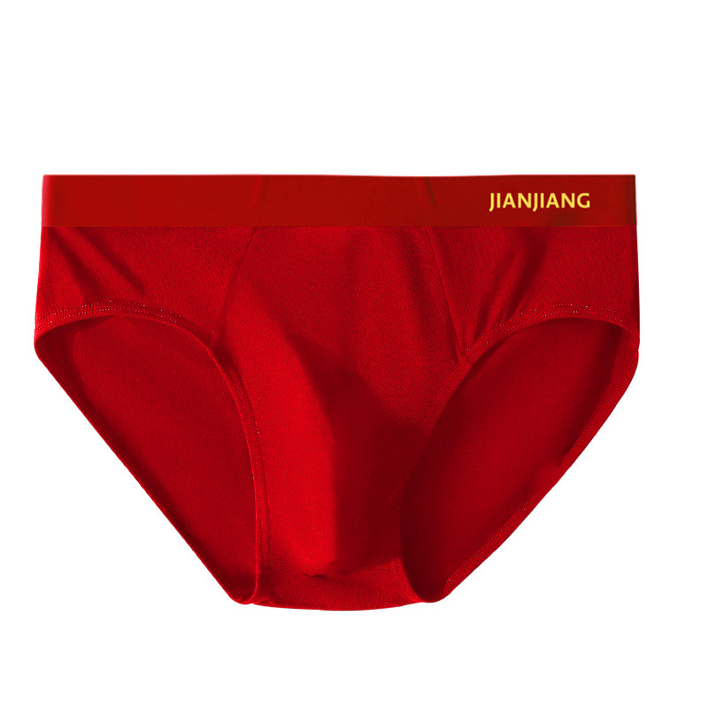 Master Men's Red Briefs - Modal Antibacterial Underwear (3-Pack)
