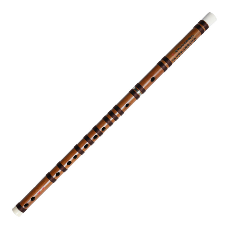 Fengya Palace Bambusflöte - Professionelles & Studenteninstrument