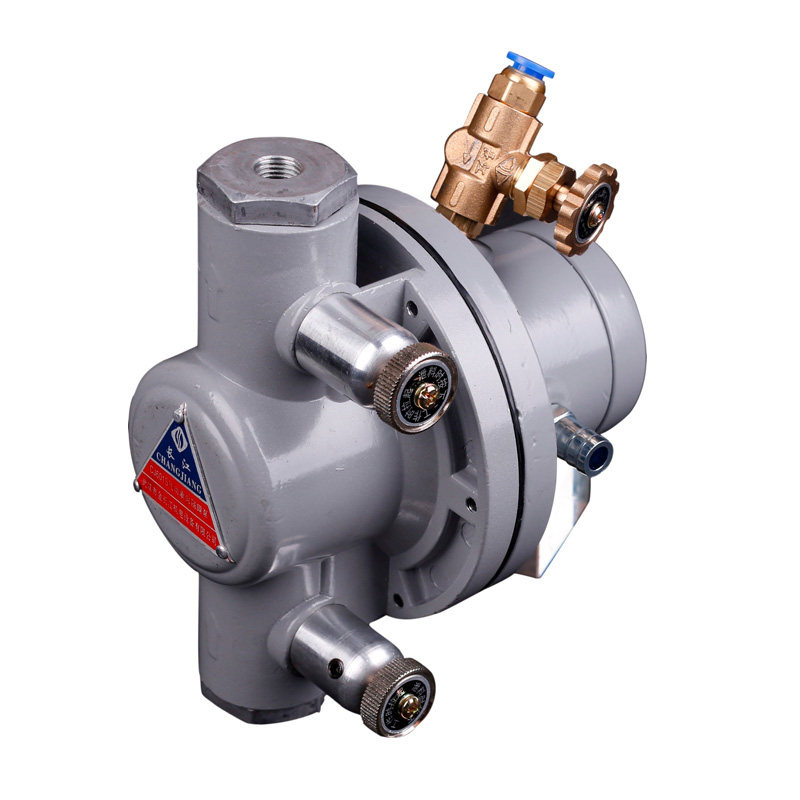 Pompe à membrane pneumatique Changjiang Cj601s - Impression ...