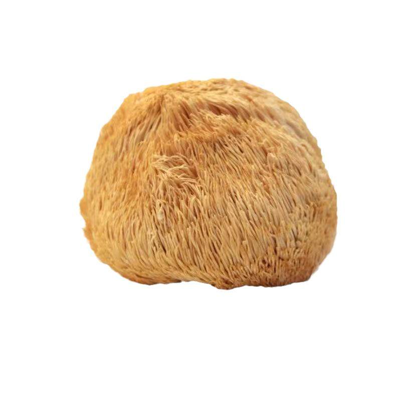 Changbaishan Monkey Head Mushroom 500g - Dried Hericium - Clay Pot Fairy